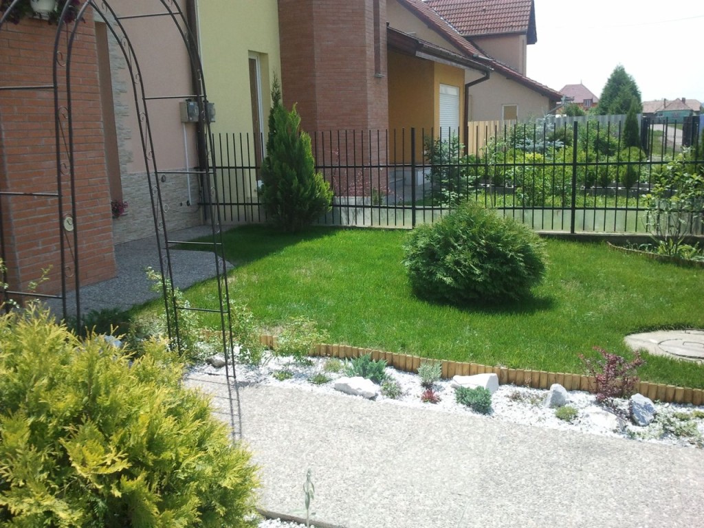 Amenajare curte de la proiectare - Amenajari Gradini Speciale