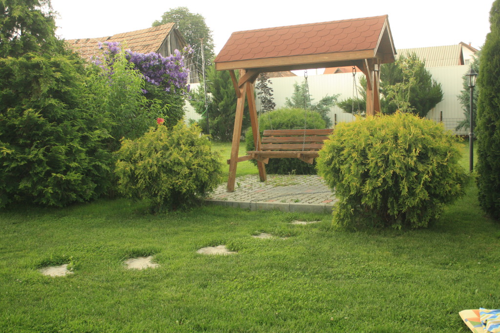 Gradina mare cu multe plante si gazon - Amenajari Gradini Speciale