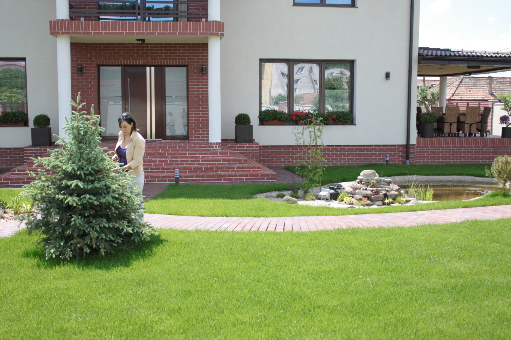 Amenajare gradina medie cu rulouri de gazon - Amenajari Gradini Speciale