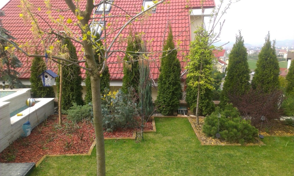 Curatenie de primavara - Amenajari Gradini Speciale