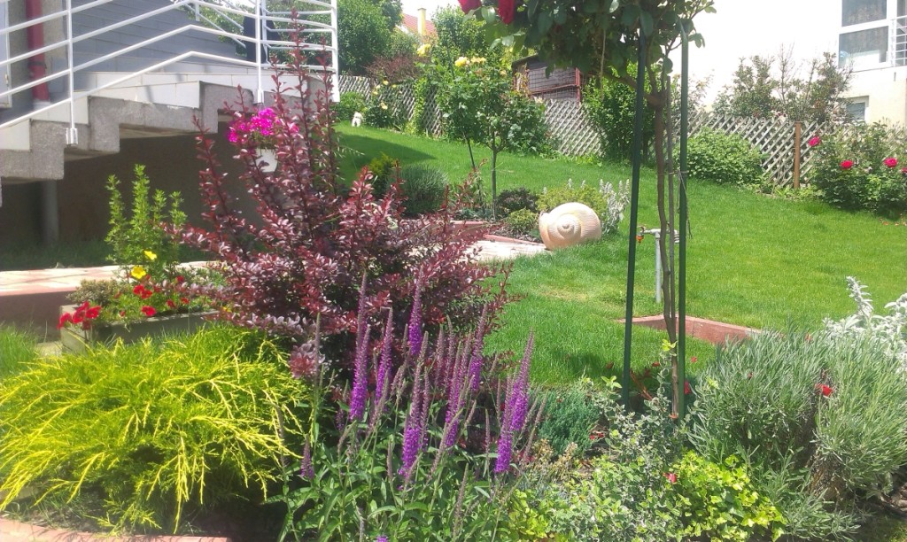 Gradina intretinuta de noi din primavara pana in toamna - Amenajari ...