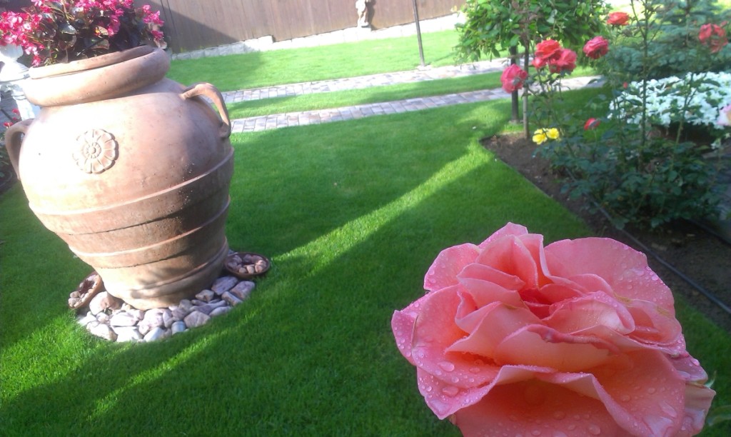 Intretinere gradina cu multe plante - Amenajari Gradini Speciale